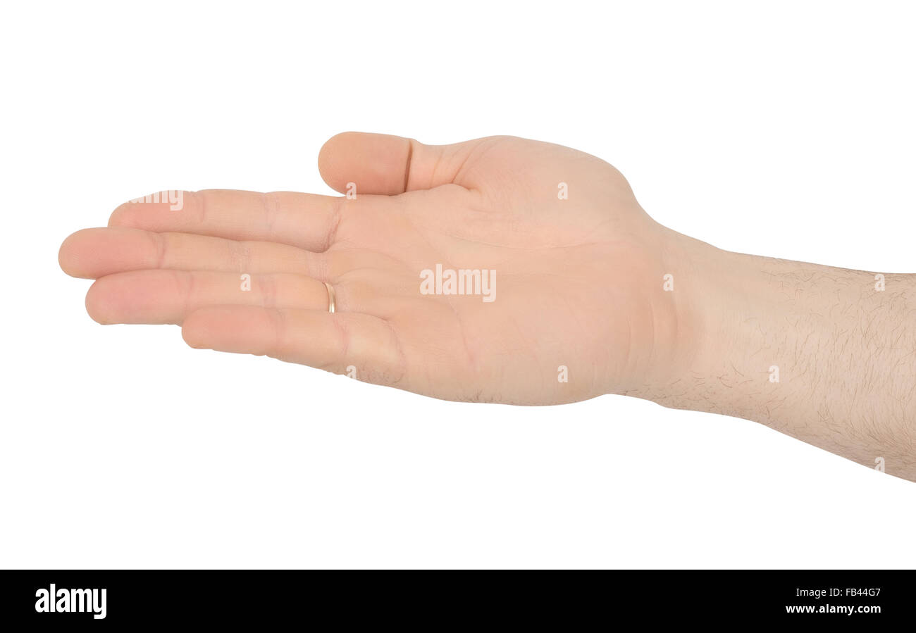Hand of an adult male isolated on a white background Stock Photo - Alamy