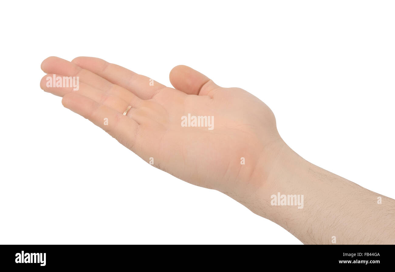 Hand of an adult male isolated on a white background Stock Photo - Alamy