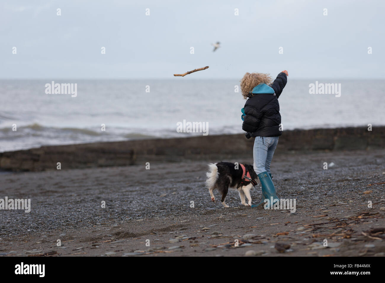 Throwing stick hi-res stock photography and images - Alamy