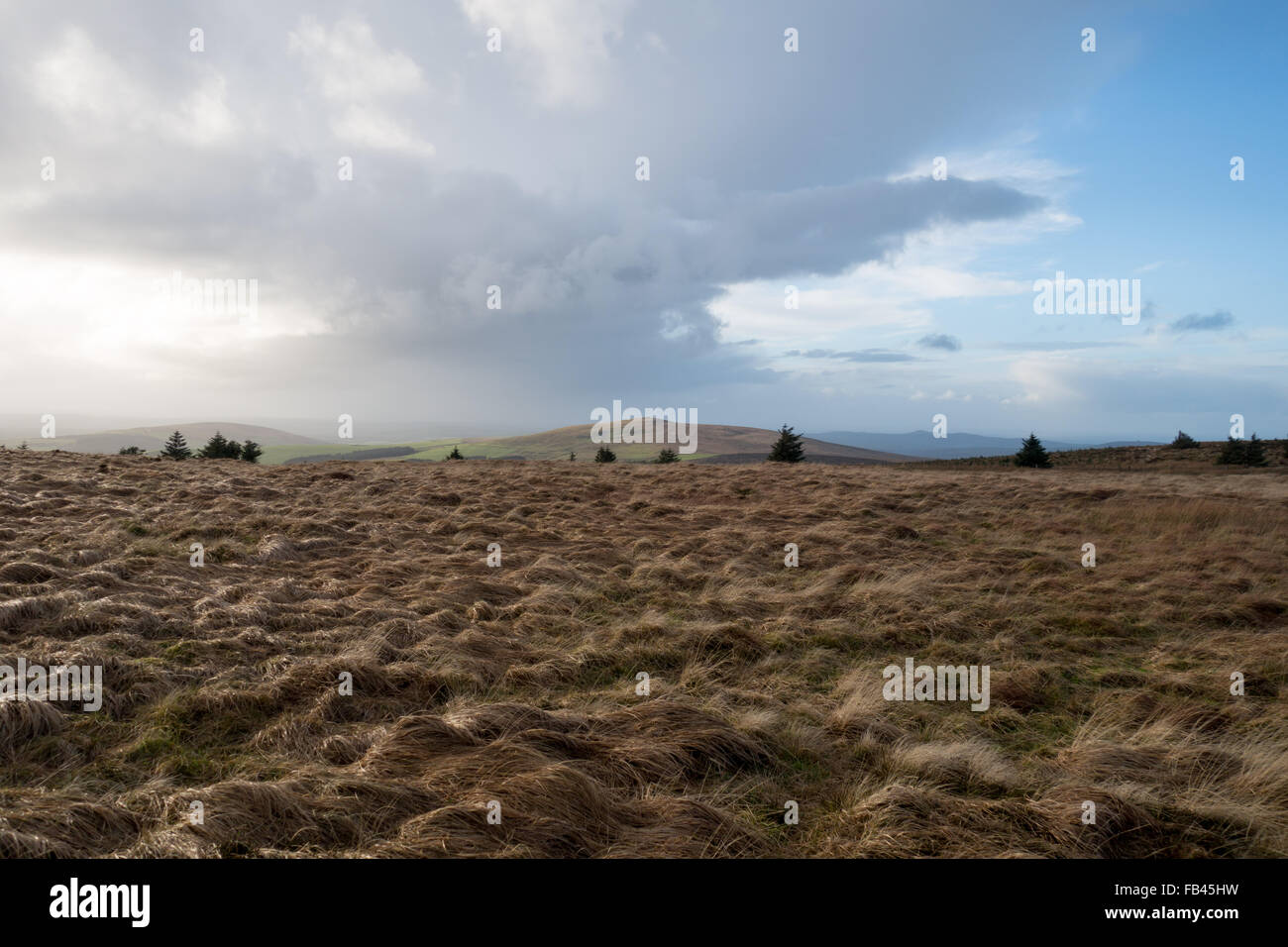 Foel Eryr as seen from the path to the summit of Foel Cwmcerwyn ...