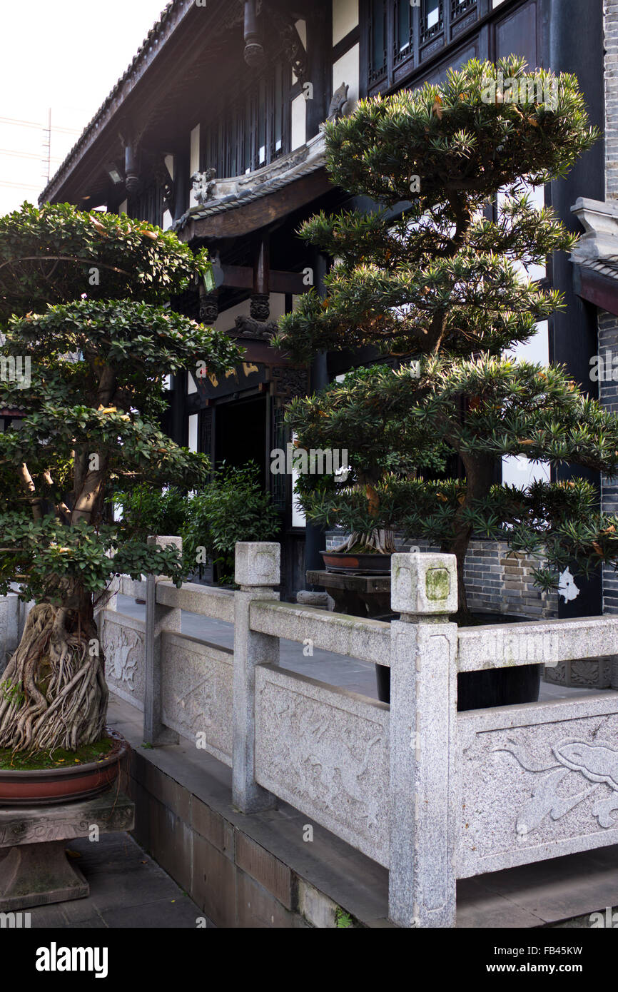 Chengdu City Centre,Tea Houses,Antique Shops,Ancient Old Town Capital ...