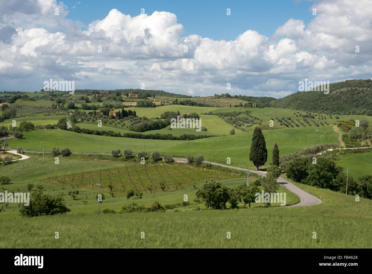 Countryside of Val d'Orcia in Tuscany Stock Photo - Alamy