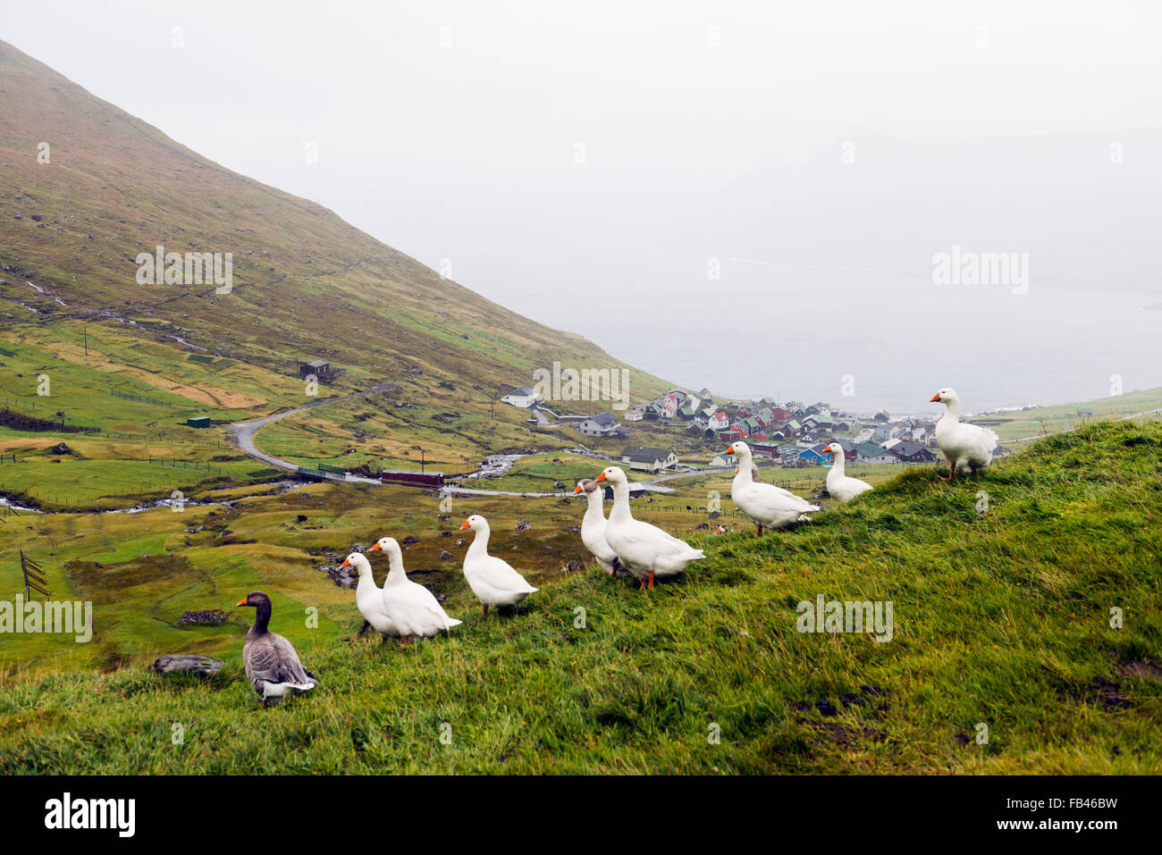 Faeroes hi-res stock photography and images - Alamy