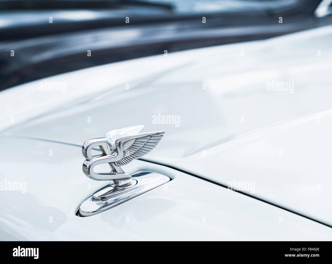 Winged bonnet hi-res stock photography and images - Alamy