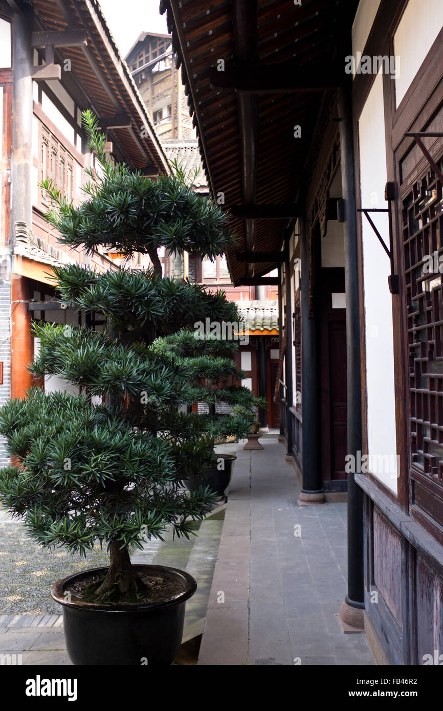 Chengdu City Centre,Tea Houses,Antique Shops,Ancient Old Town Capital ...