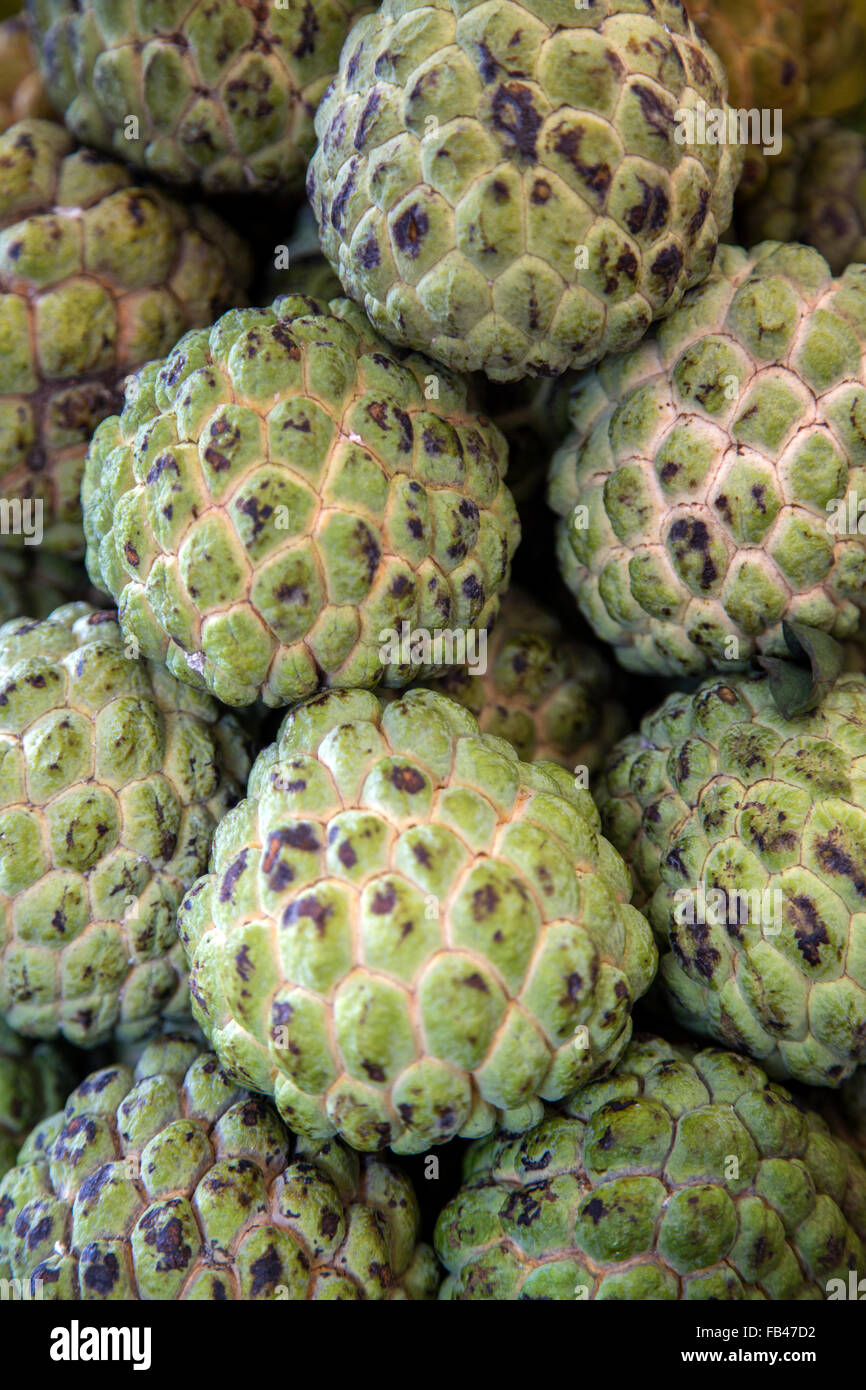 Sweetsop hi-res stock photography and images - Alamy