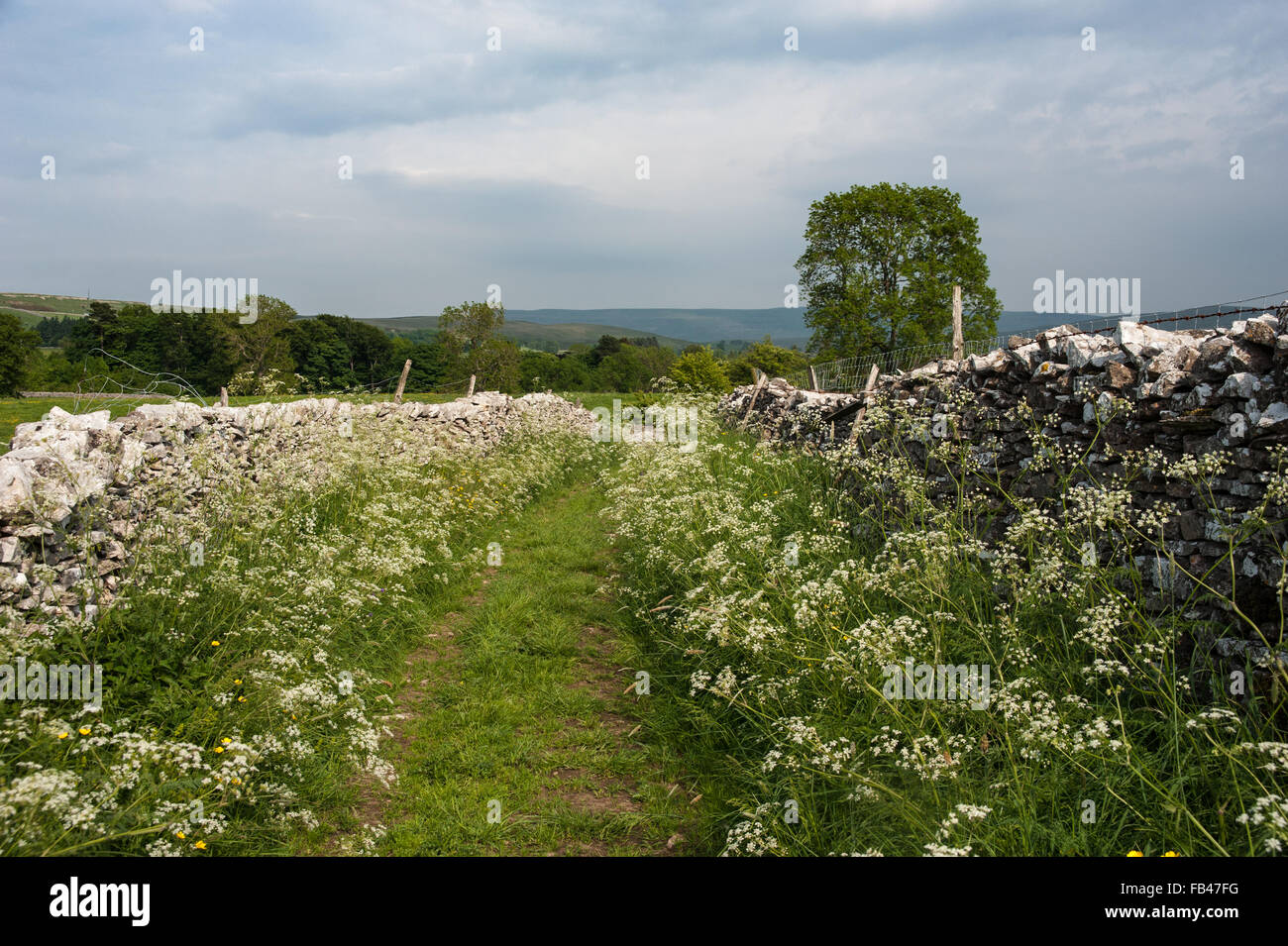 Ravenstonedale hi-res stock photography and images - Alamy