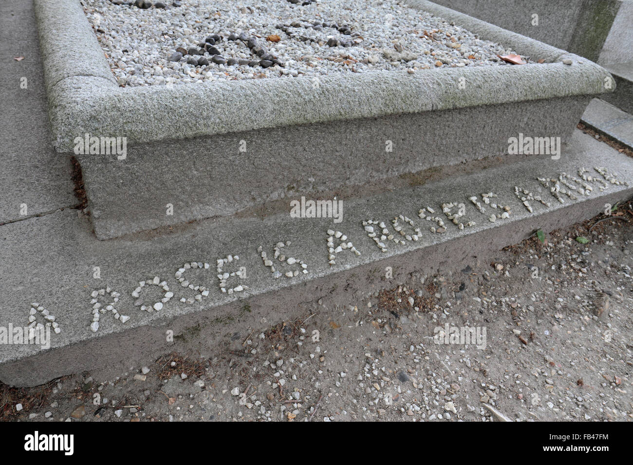 Rose emily hi-res stock photography and images - Alamy