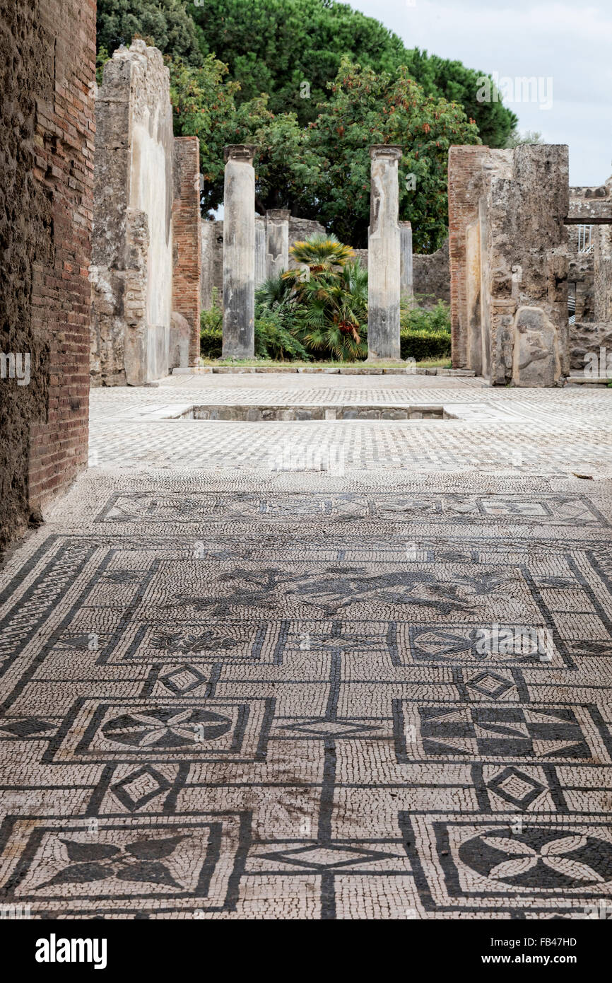 Mosaic floor in Pompeii Stock Photo - Alamy