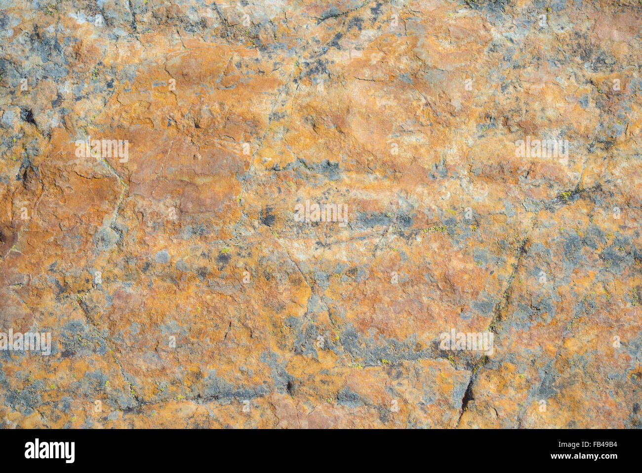 Sedimentary rock, multi colored claystone, with fractures and ...