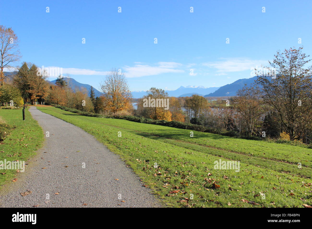 Stroll path green hi-res stock photography and images - Alamy