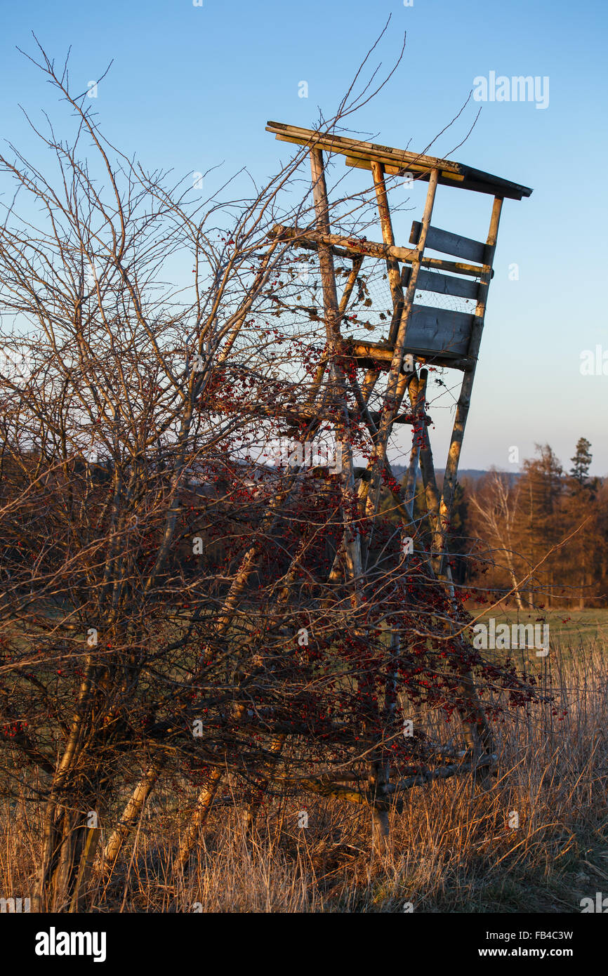 Wooden Hunters High Seat hunting tower Stock Photo - Alamy