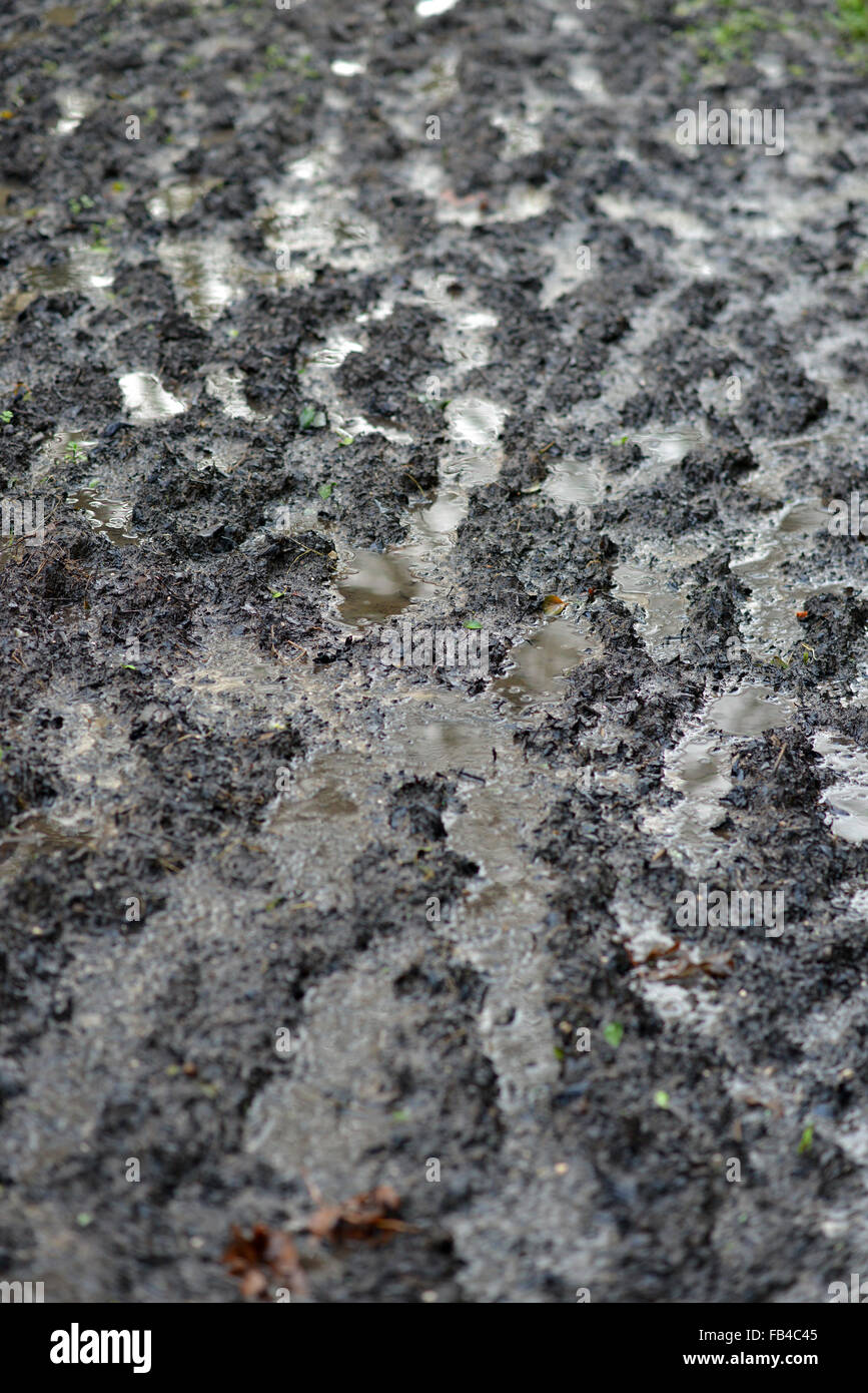 Muddy Footprints High Resolution Stock Photography and Images - Alamy
