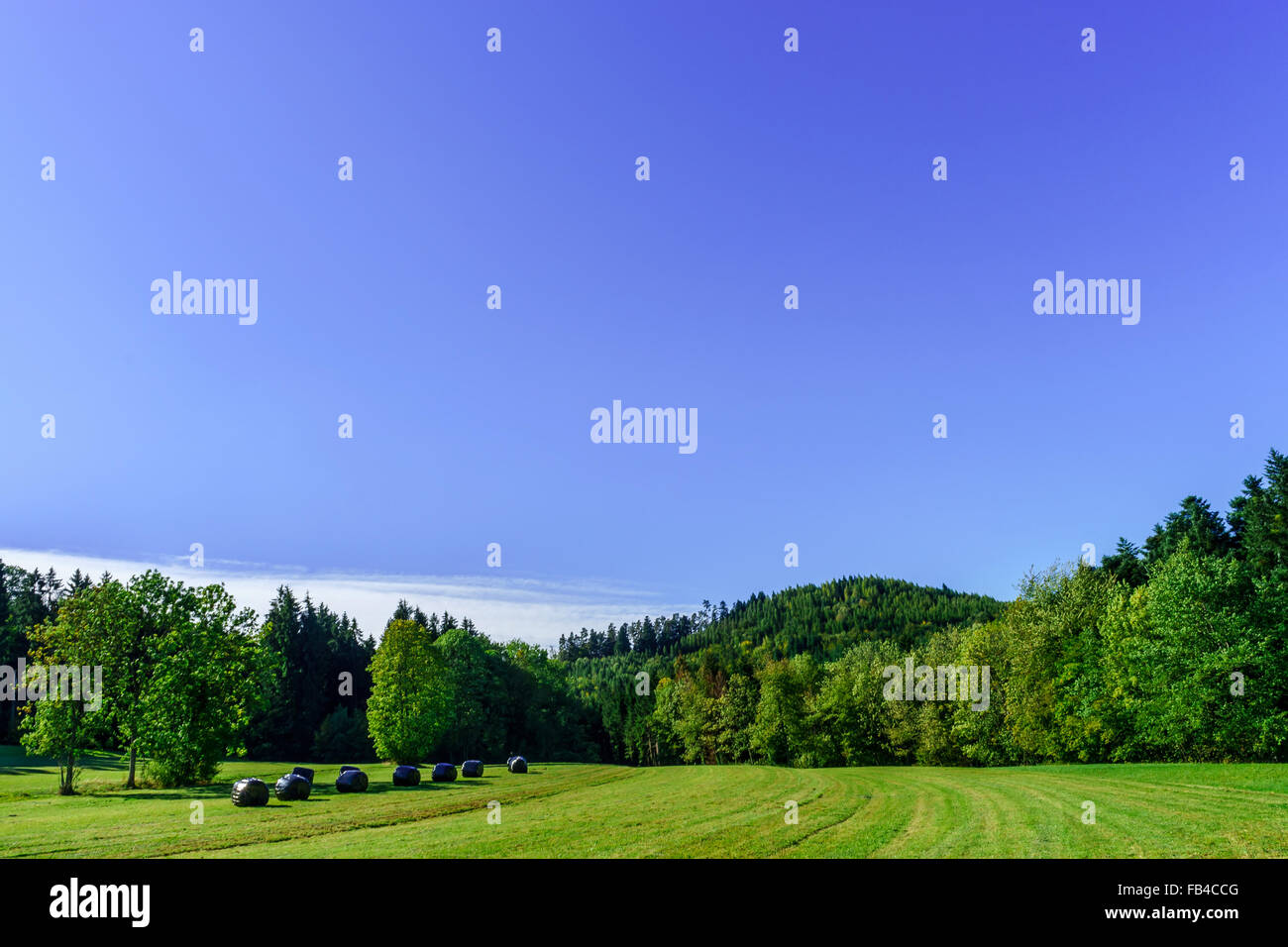 Beautiful countryside landscape in green and blue, summer day Stock ...