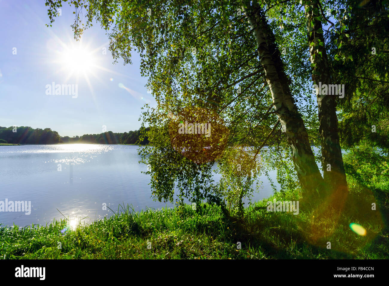Sun with reflection in water over the lake, summer evening Stock Photo ...