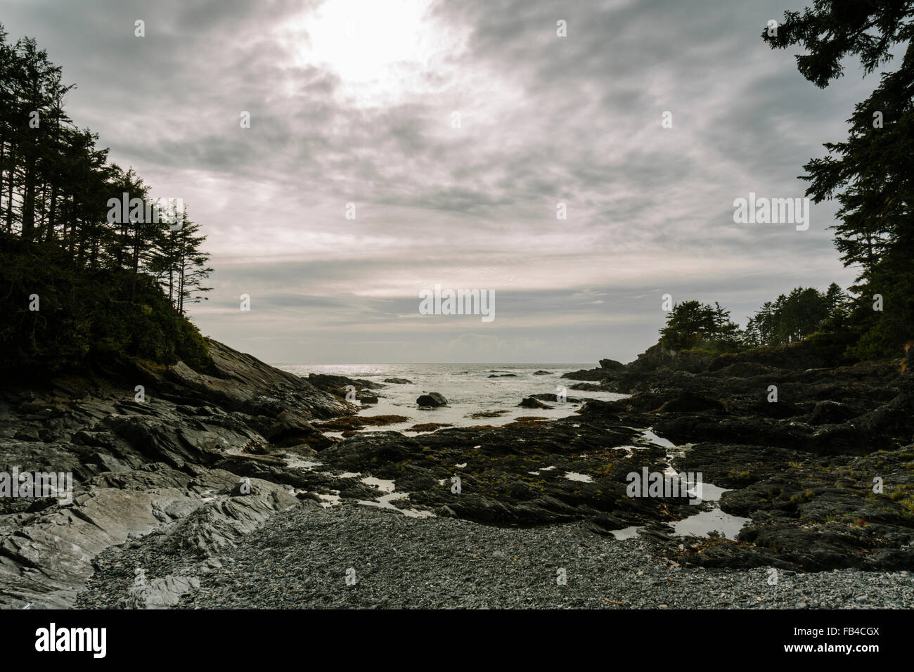 Botany Beach, Pacific Rim Nationalpark, Vancouver Island, British ...