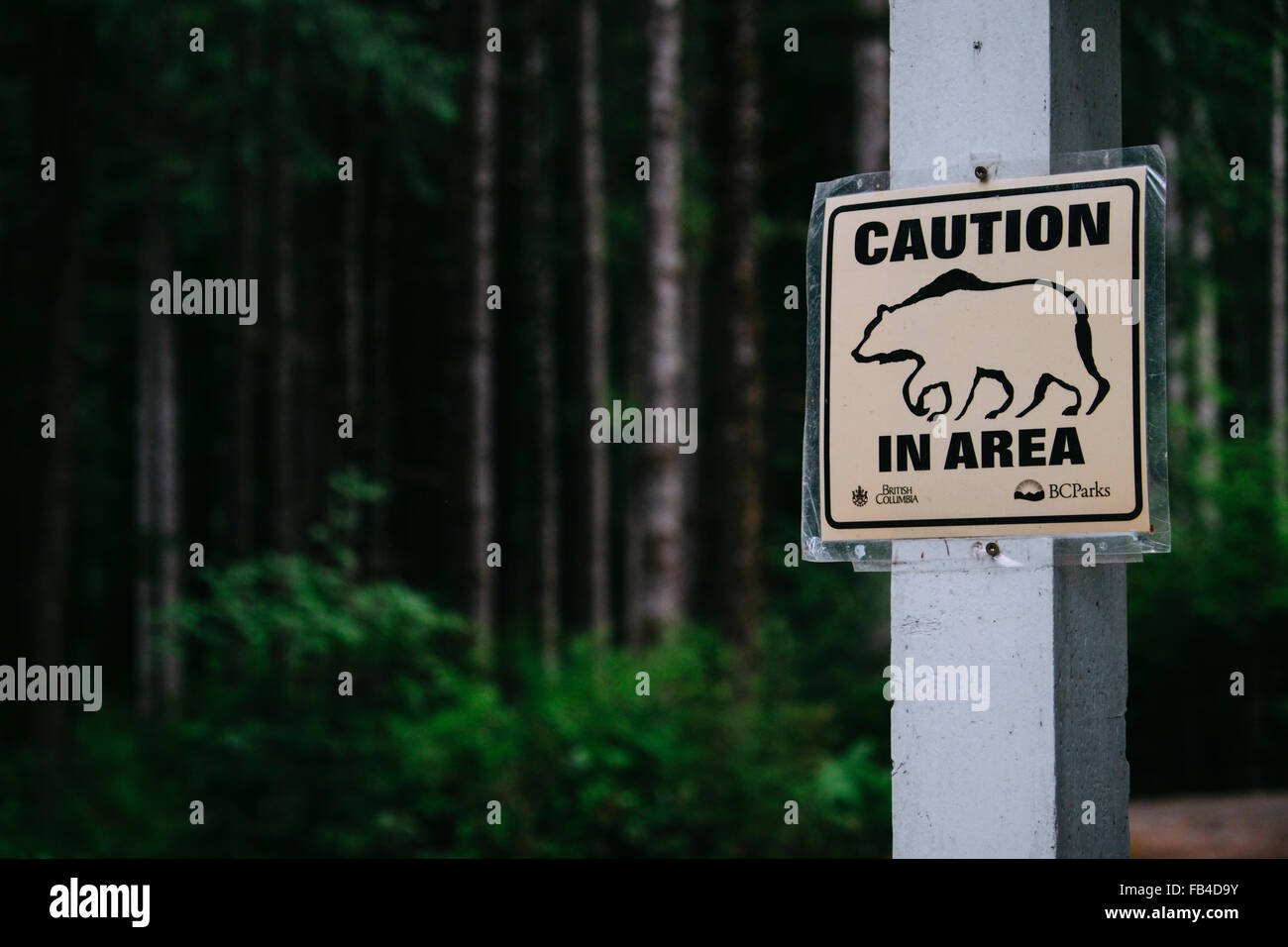 China beach campground hi-res stock photography and images - Alamy