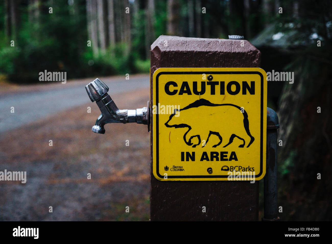 China Beach Campground, Vancouver Island, British Columbia, Canada ...
