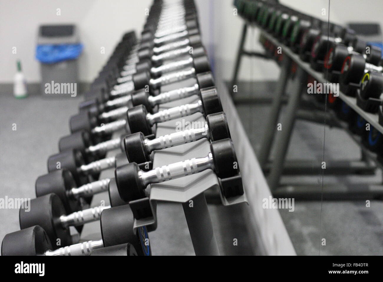 Polish boxer hi-res stock photography and images - Alamy