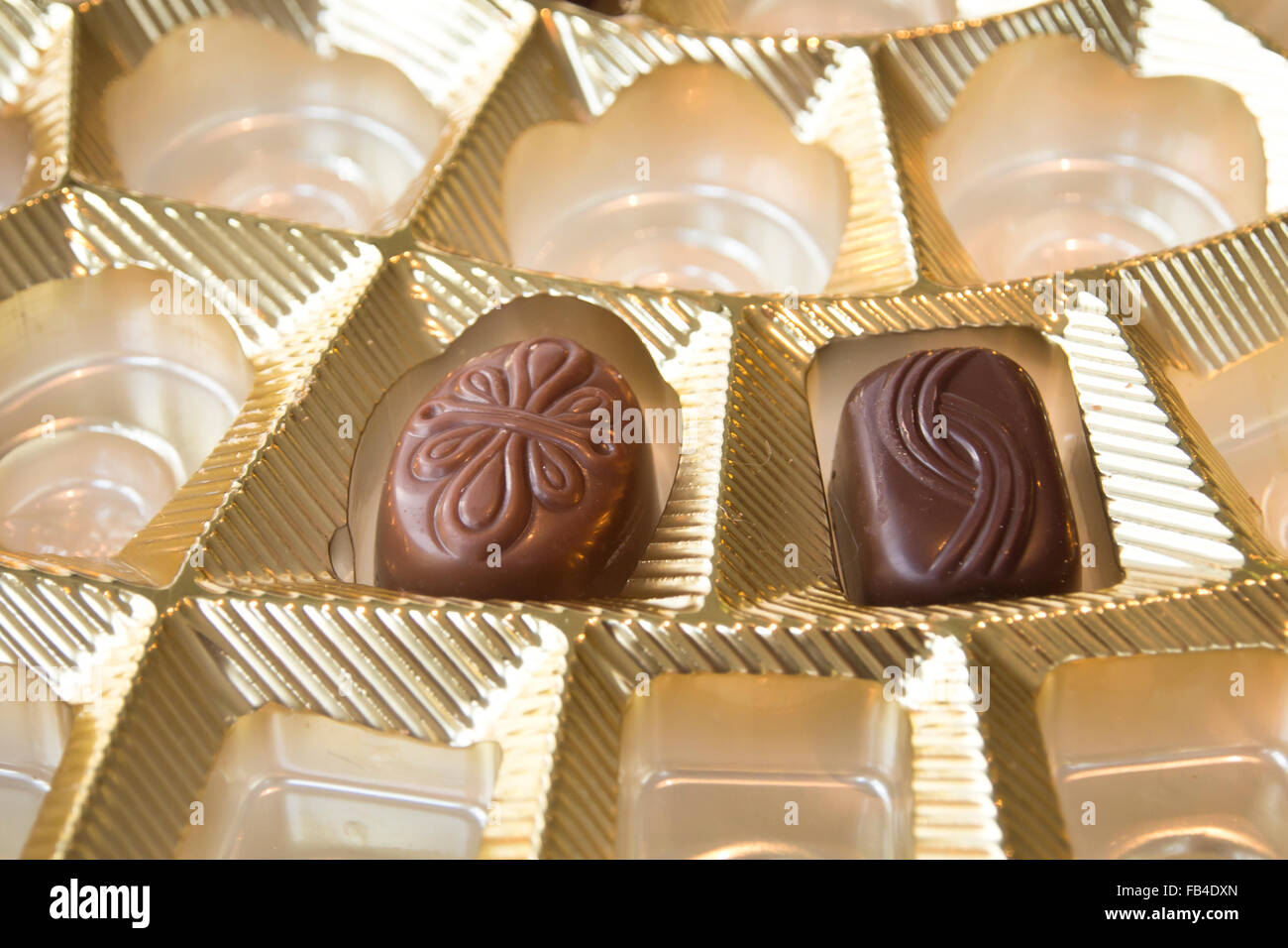 Delicate and tempting individual pieces of chocolate in golden box ...