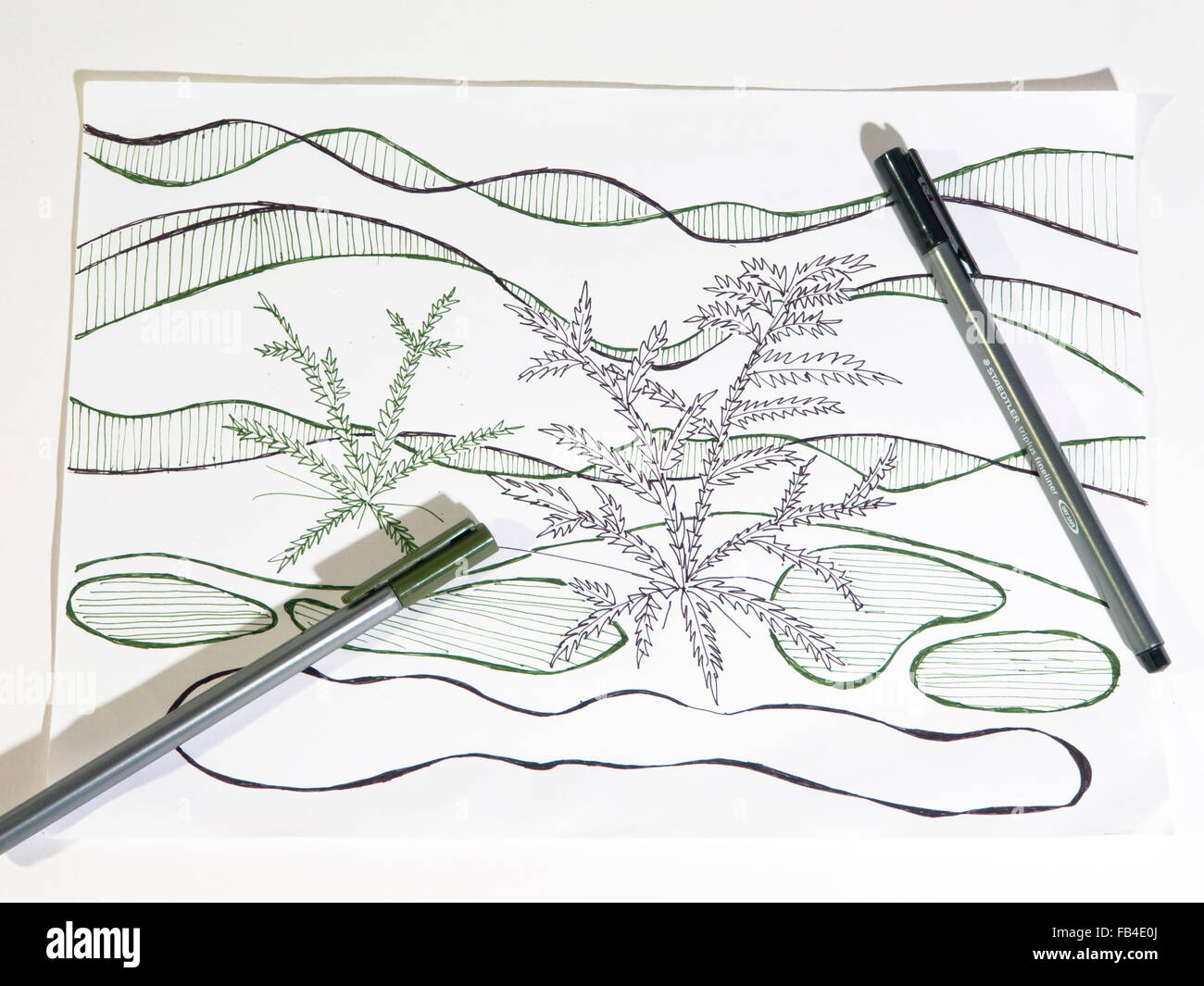 Intricate and colourful drawing for adults has become trendy and is ...