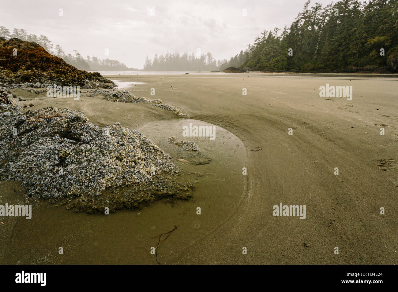 Schooner Beach, Pacific Rim Nationalpark, Vancouver Island, British ...