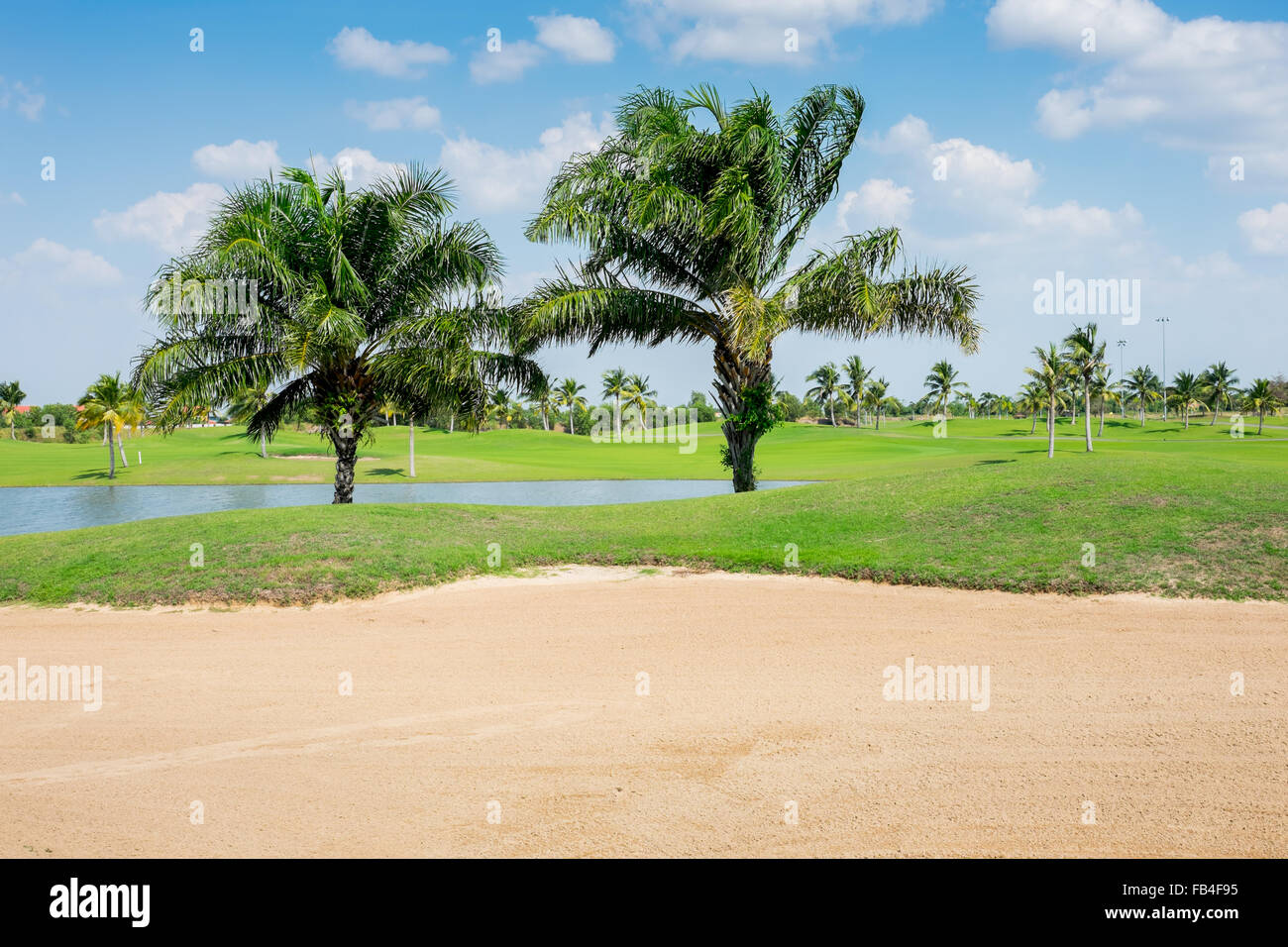 Beautiful golf course in Thailand - good fairway, great green, best ...