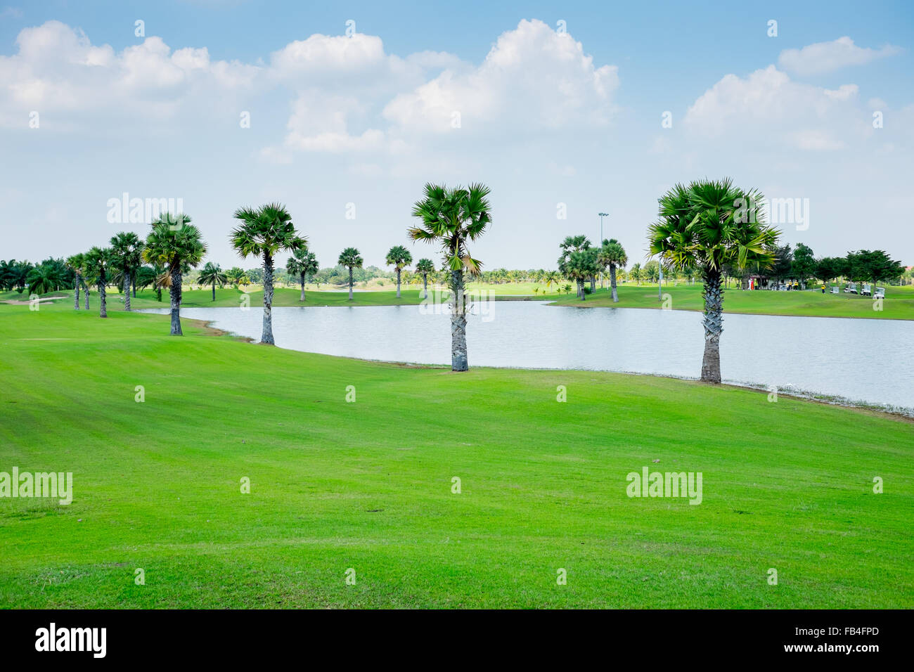 Beautiful golf course in Thailand - good fairway, great green, best ...