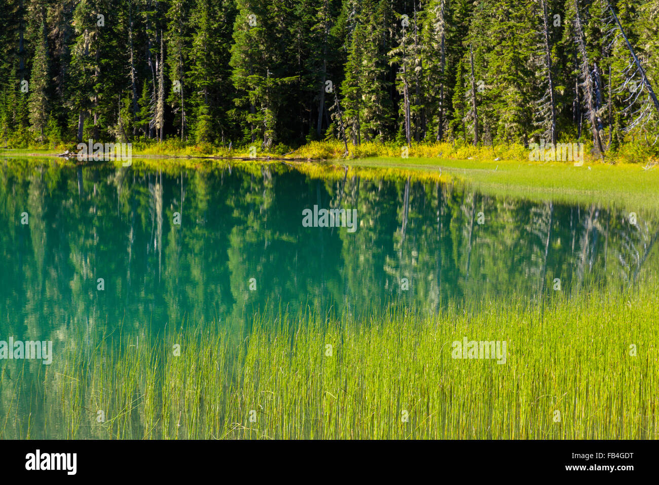 Joffre lake hi-res stock photography and images - Alamy
