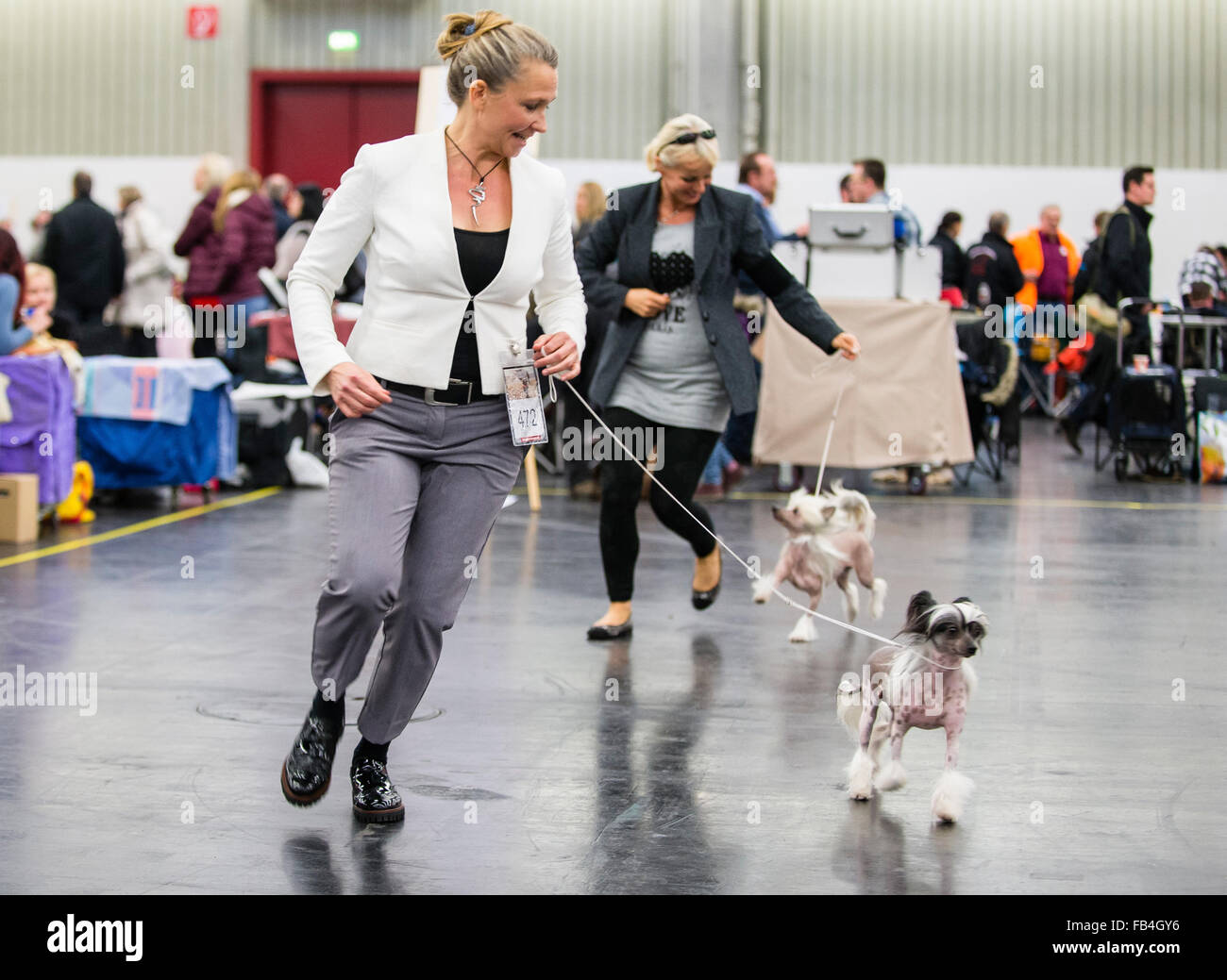Nuremberg, Germany. 09th Jan, 2016. Competitors present their Chinese ...
