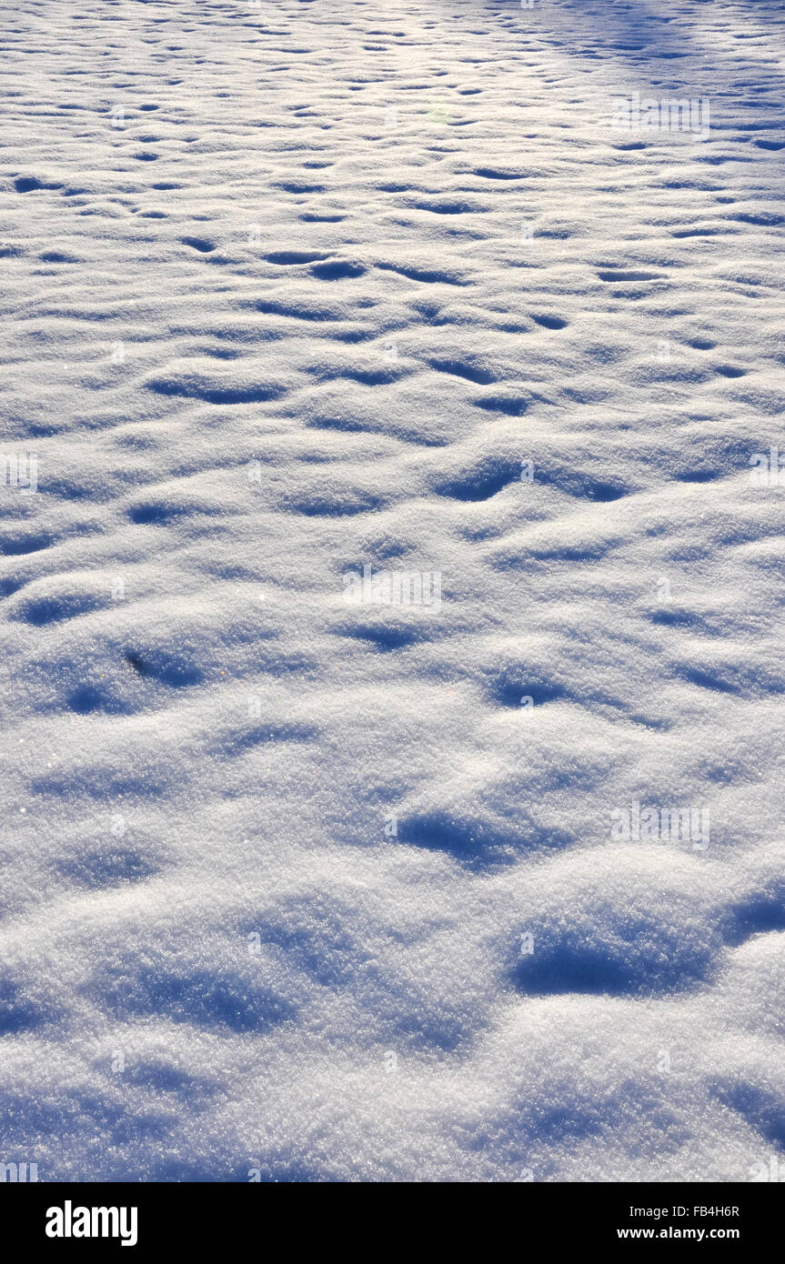 Sunlight on untouched snow in a field in the English countryside Stock ...