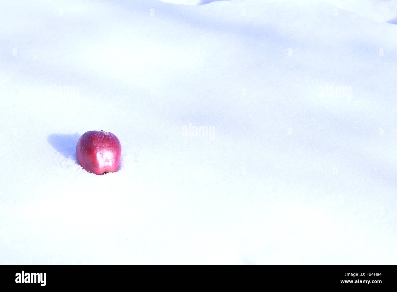 Apple in the snow Stock Photo - Alamy