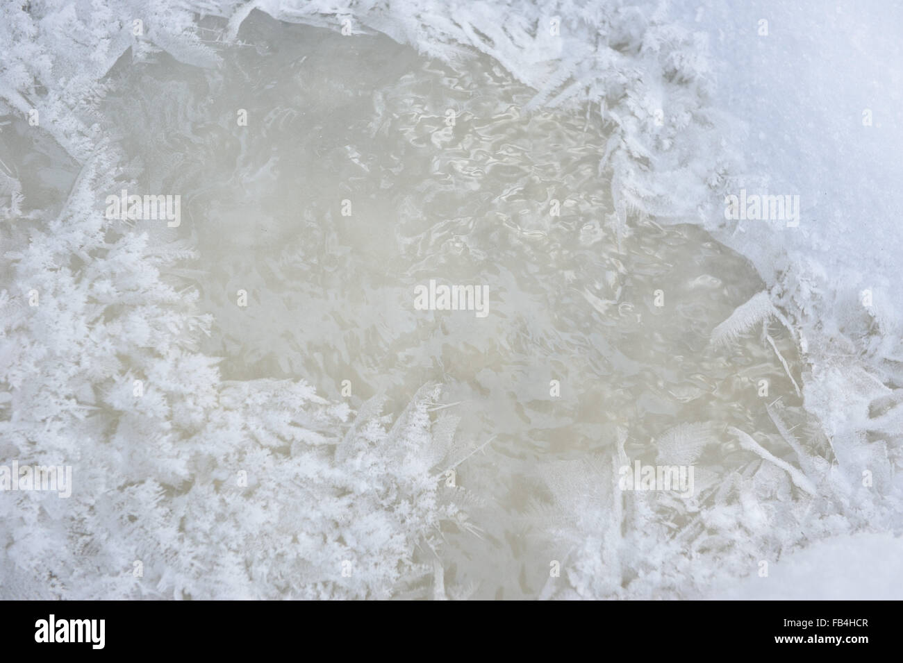 Close up background of ice Stock Photo - Alamy