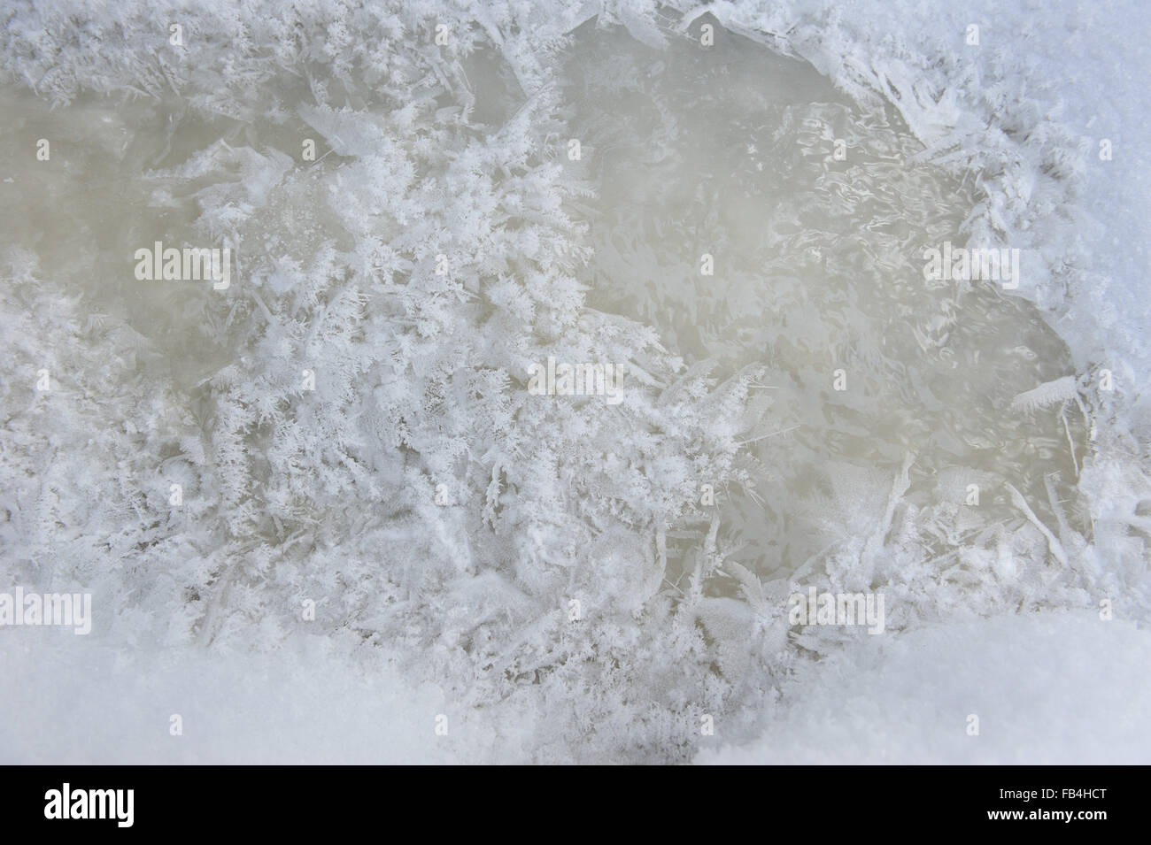 Close up background of ice Stock Photo - Alamy