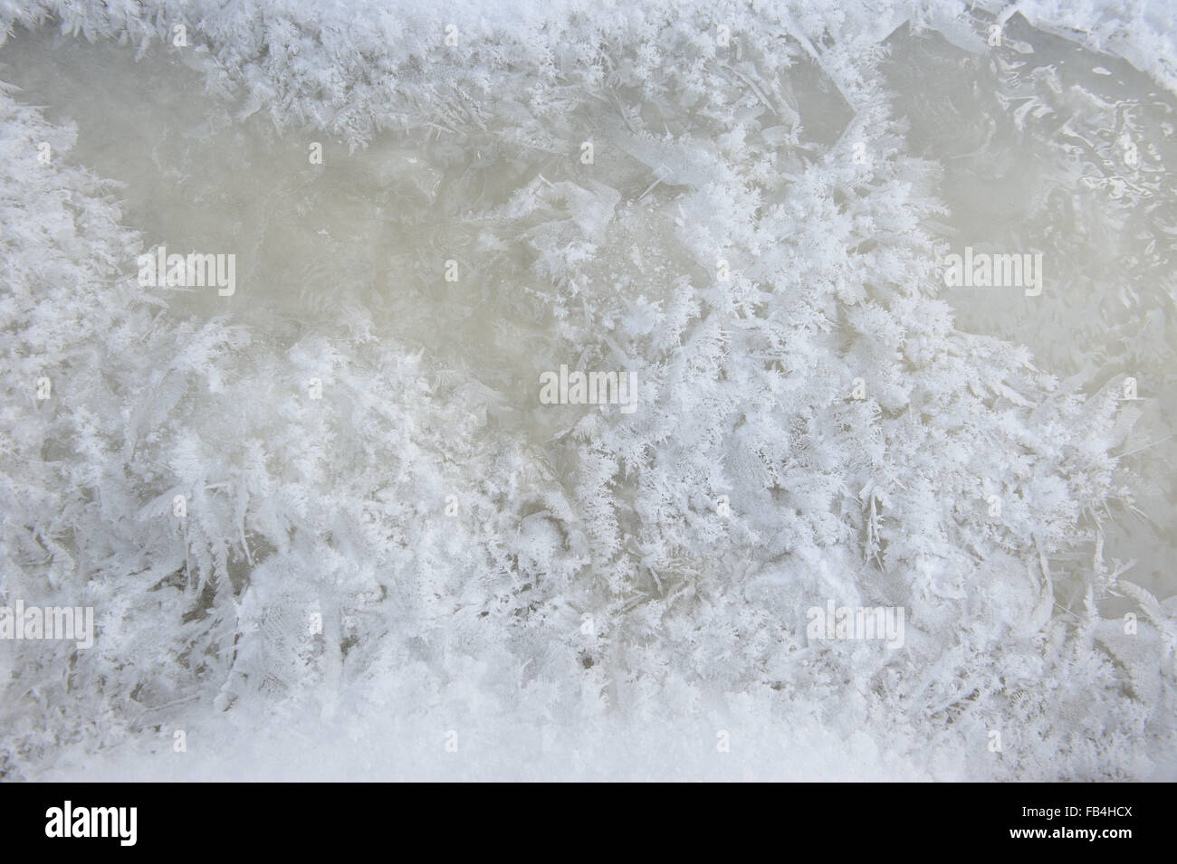 Close up background of ice Stock Photo - Alamy
