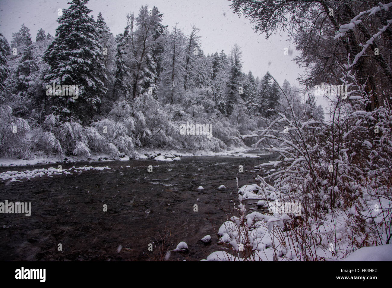 snowy El Niño winter along the Dolores River in Southwestern, Colorado ...