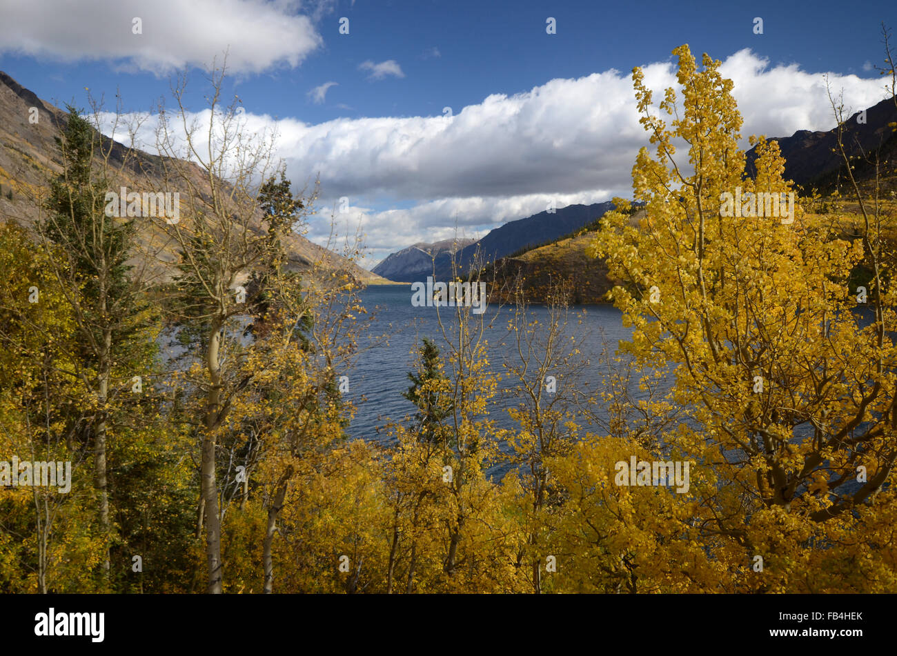 Yukon hi-res stock photography and images - Alamy