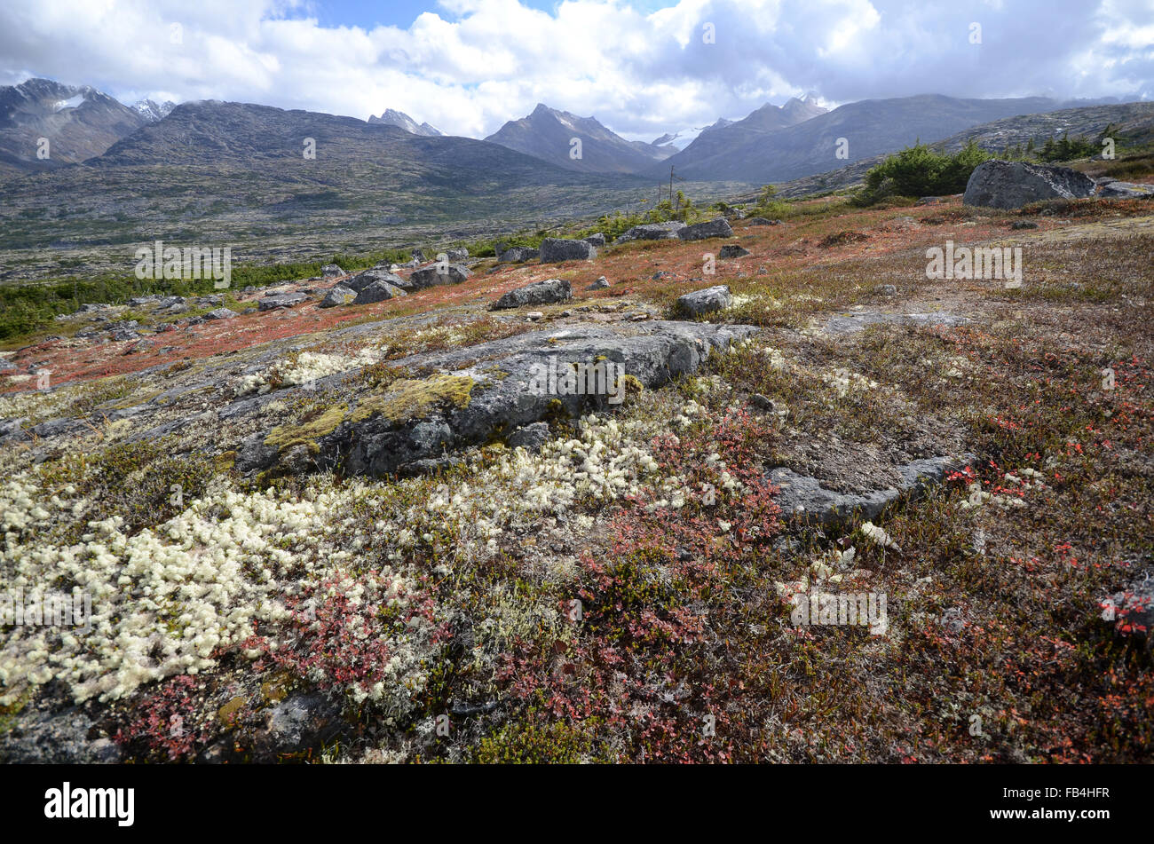 Yukon mountain landscape Stock Photo - Alamy