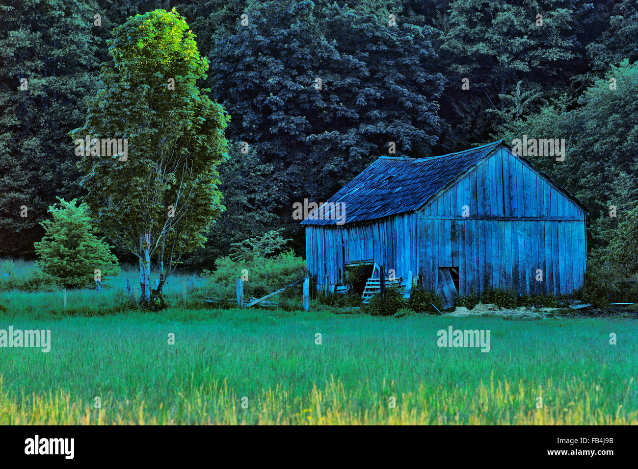 Rustic barn on Vancouver Island, British Columbia, Canada Stock Photo ...