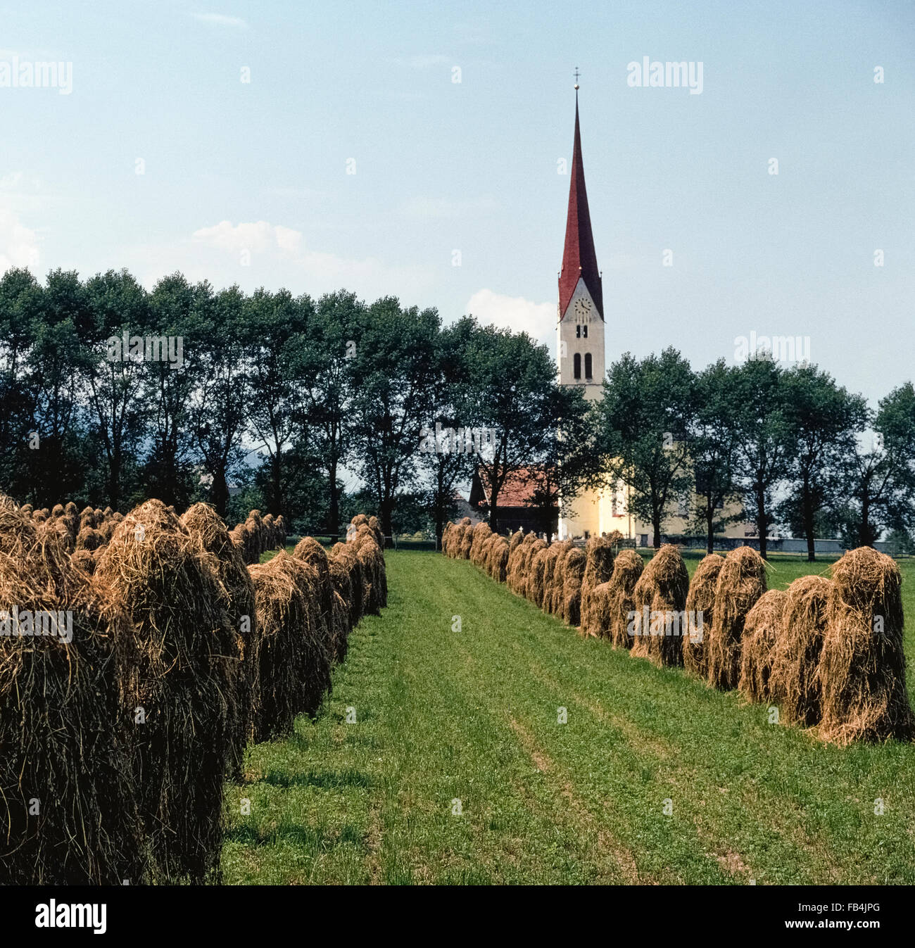 A rural scene in Austria with rows of haystacks in a farm field and a ...