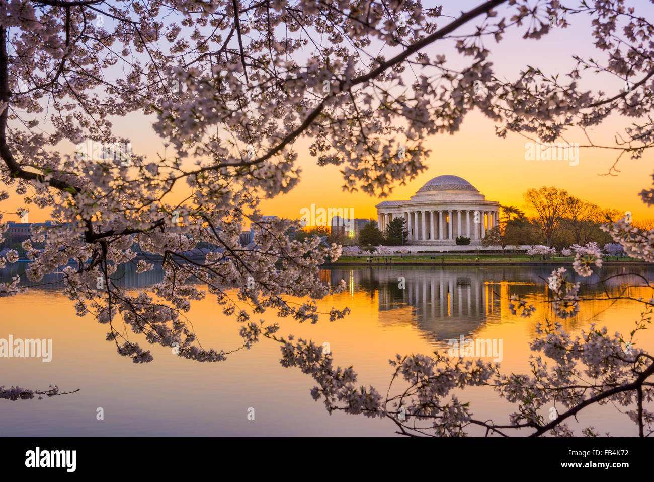 Washington, DC at the Tidal Basin and Jefferson Memorial during spring ...