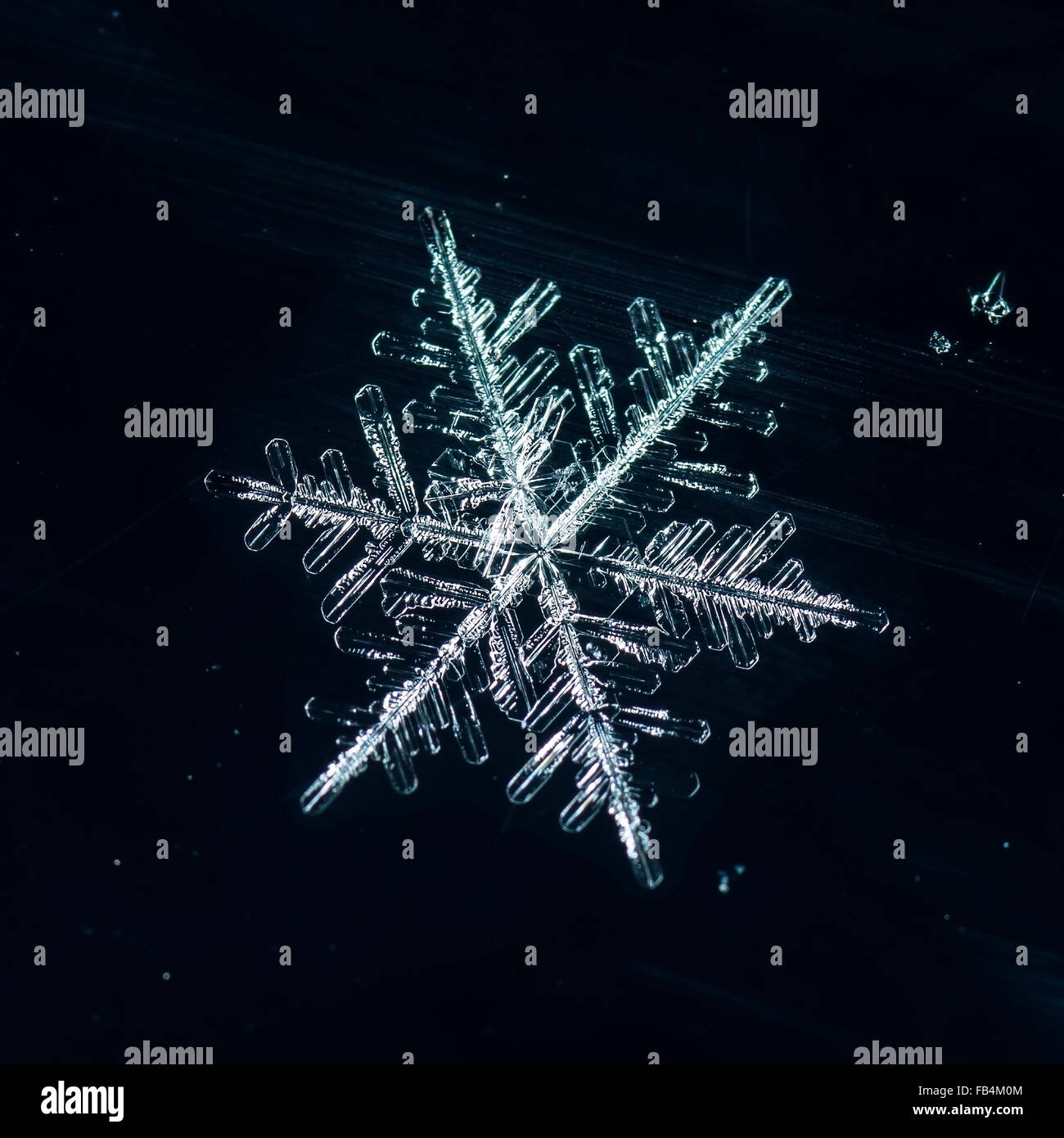 Real snowflakes macro hi-res stock photography and images - Alamy