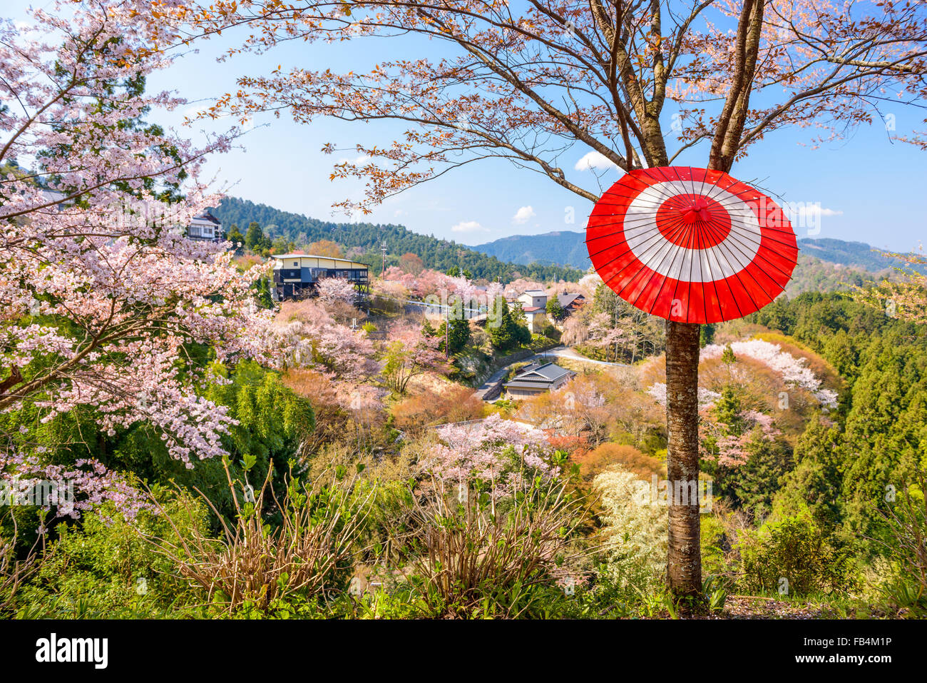 Yoshinoyama, Nara, Japan during the spring season Stock Photo - Alamy