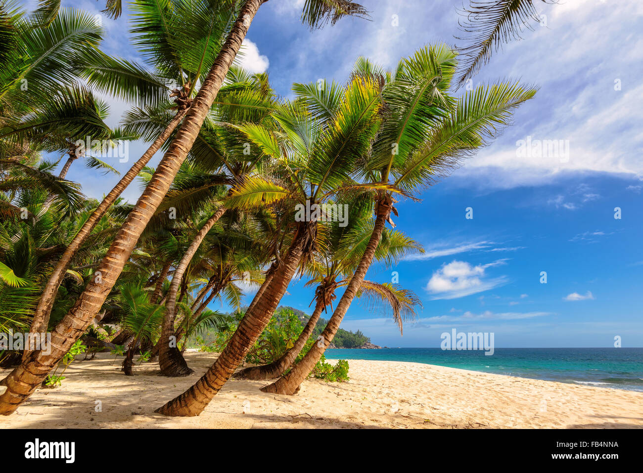 Tropical wild beach at Seychelles, Anse Intendance beach in Mahe Island ...