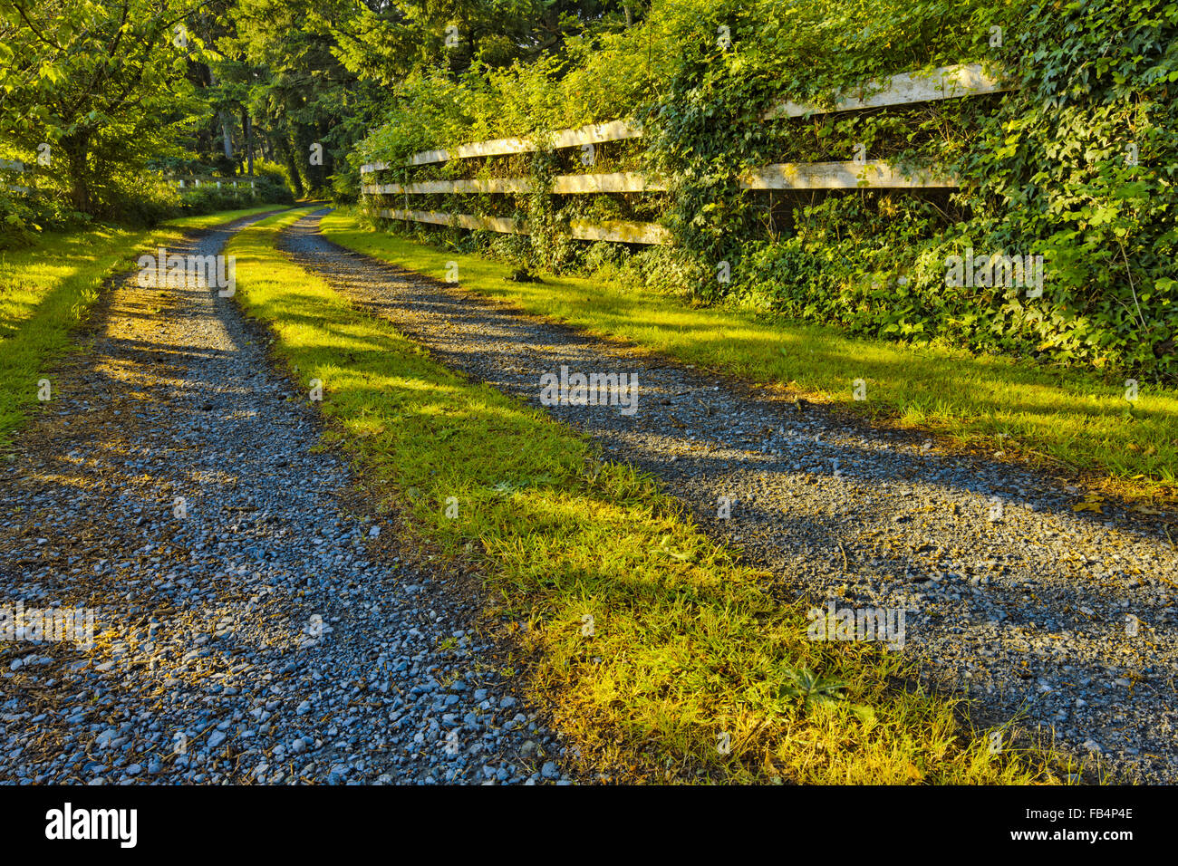 country road, Vancouver Island Stock Photo - Alamy