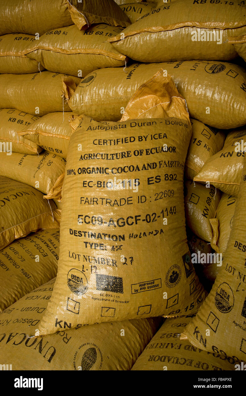 Oganic cocoa beans packaged for export from Ecuador Stock Photo - Alamy