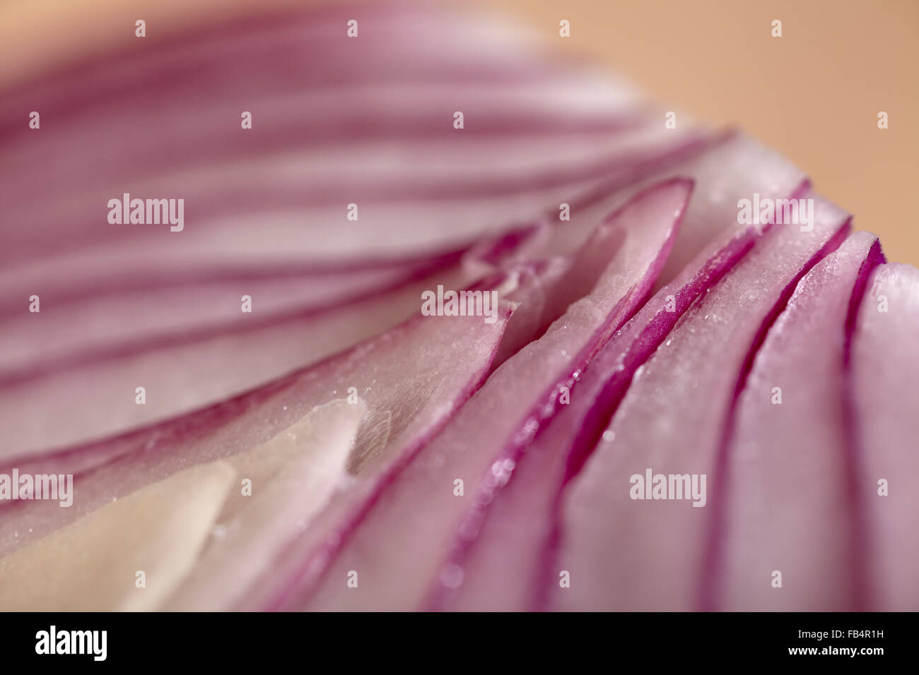 Layers of onion hi-res stock photography and images - Alamy