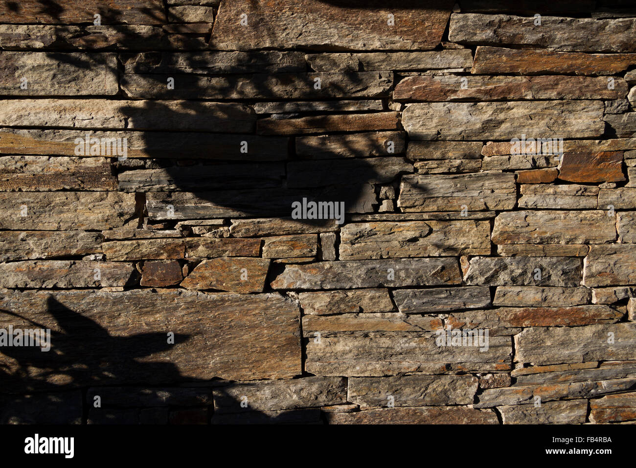 Plant and vase shadow on the wall Stock Photo - Alamy