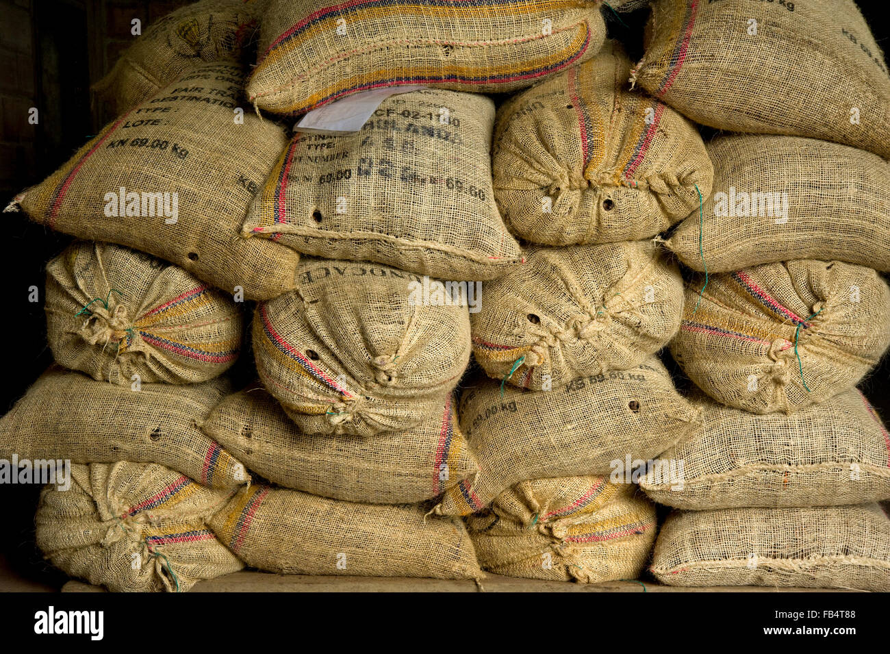 Cocoa beans packed in sacks for export at warehouse Stock Photo - Alamy