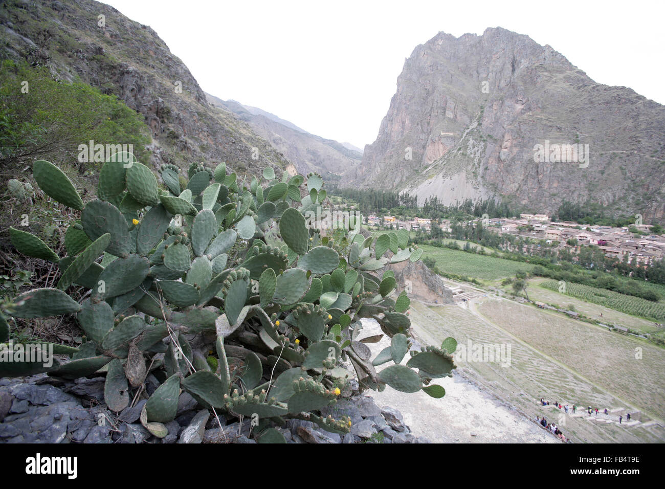 The ancient incas Peru South America Stock Photo - Alamy